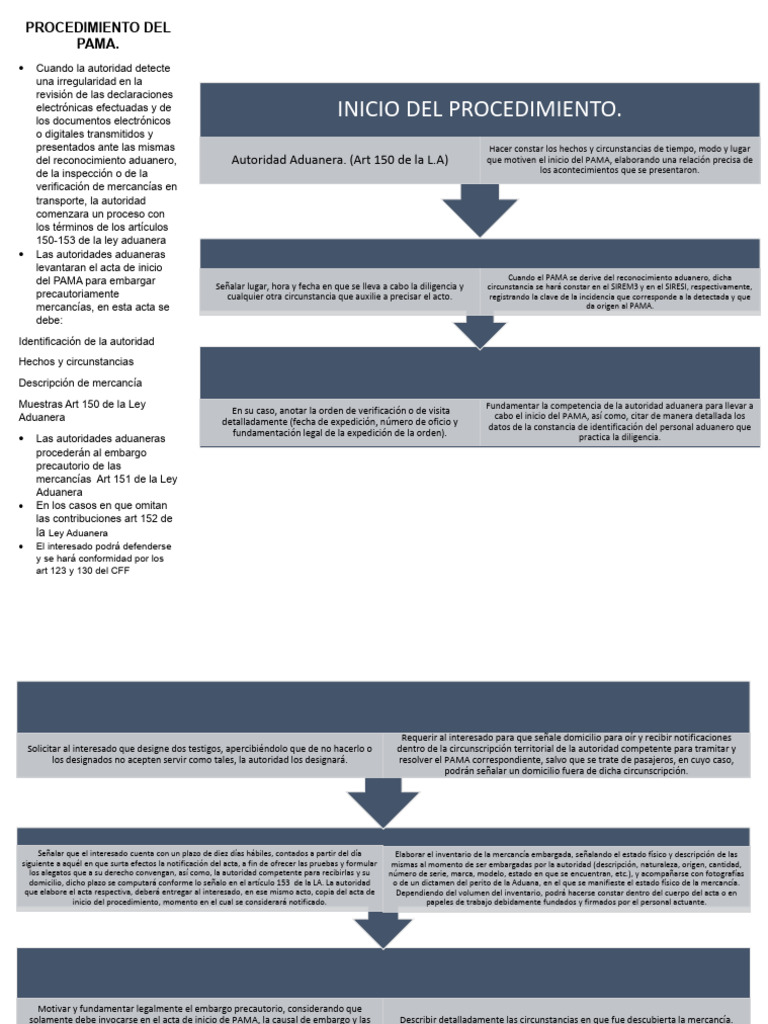 Procedimiento PAMA en Aduanas: Guía Completa | PDF