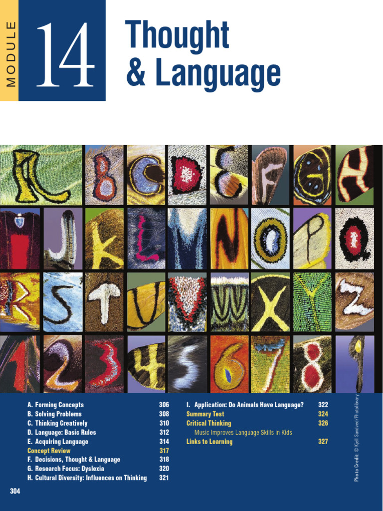 Module 14 Thought & Language | PDF