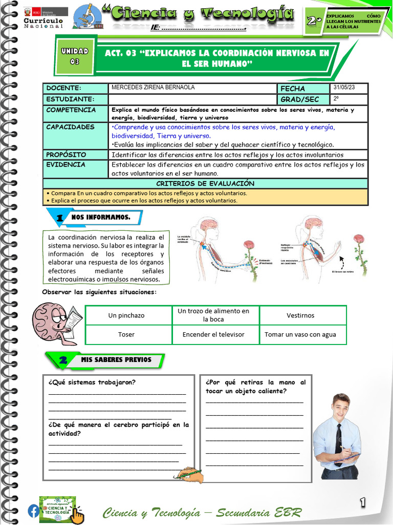 C-2º ACT 3 CYT UNID 3- SEM 3 | PDF