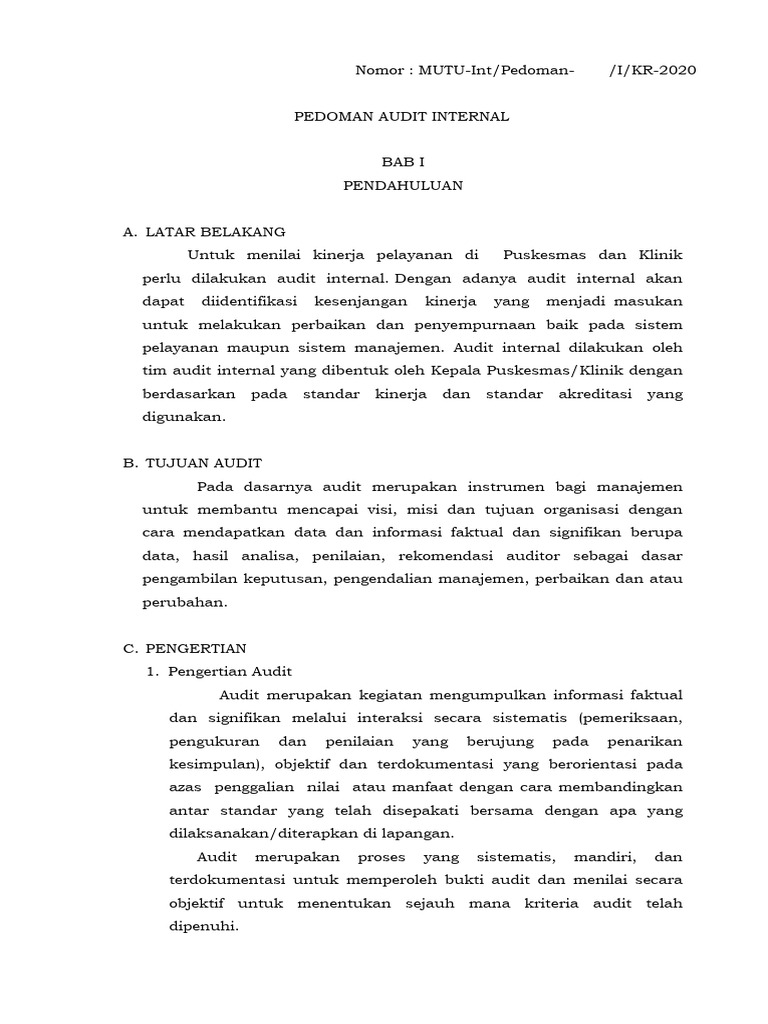 Contoh Pedoman Audit Internal | PDF