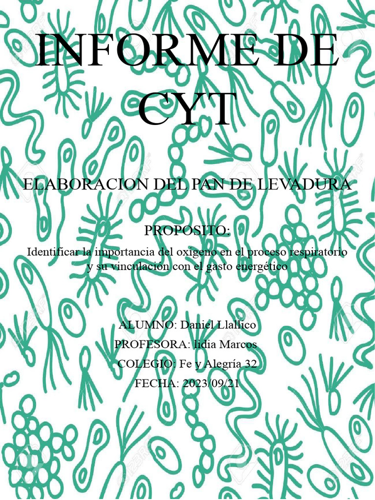 Informe de Cyt | PDF