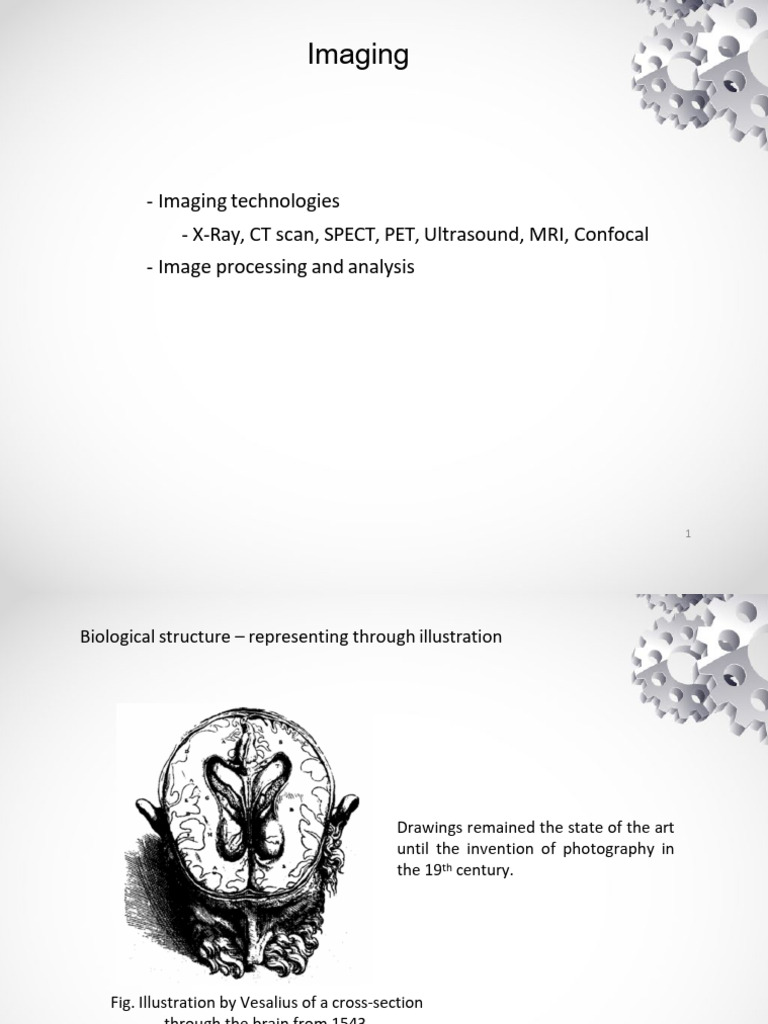 Lecture 11 Imaging | PDF