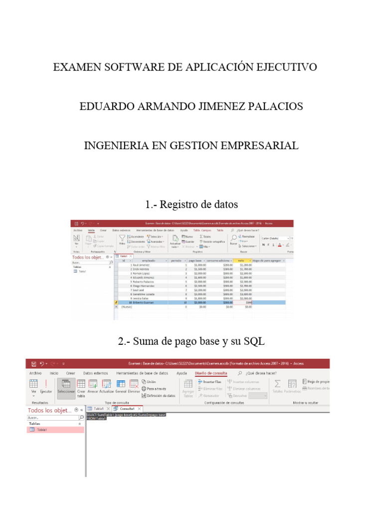 Examen Software de Aplicación Ejecutivo | PDF