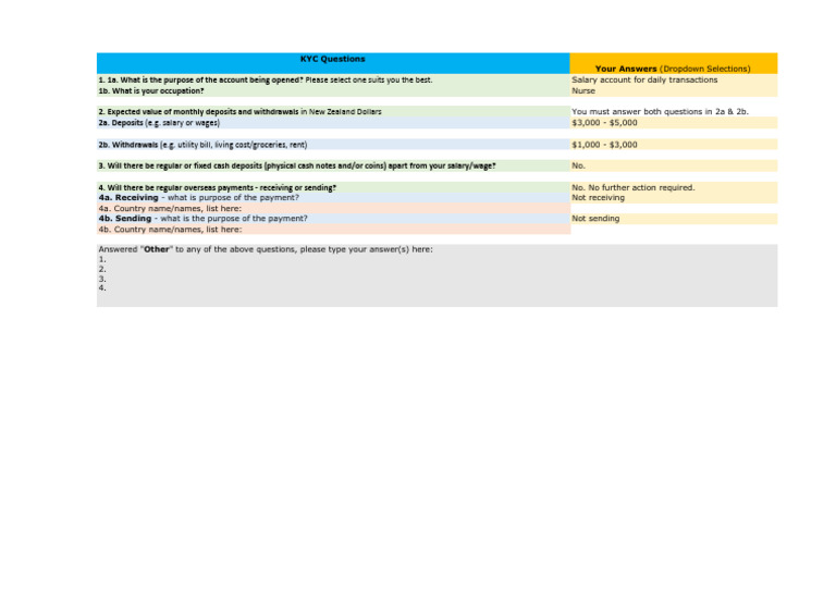 KYC Questions Excel Form - XLSX - Sheet1 | PDF