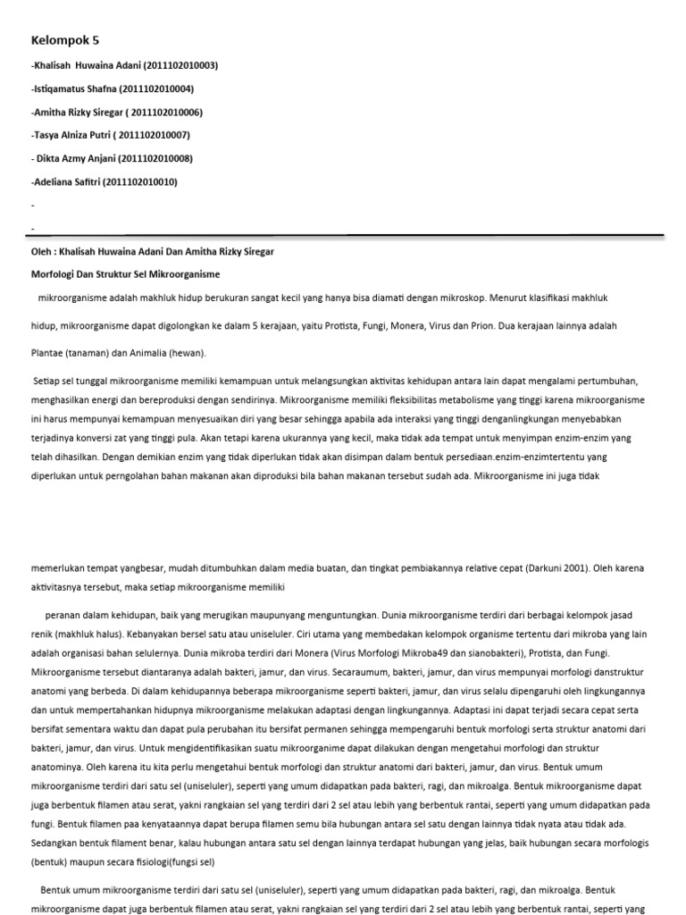 Kelompok 5 Mikro | PDF
