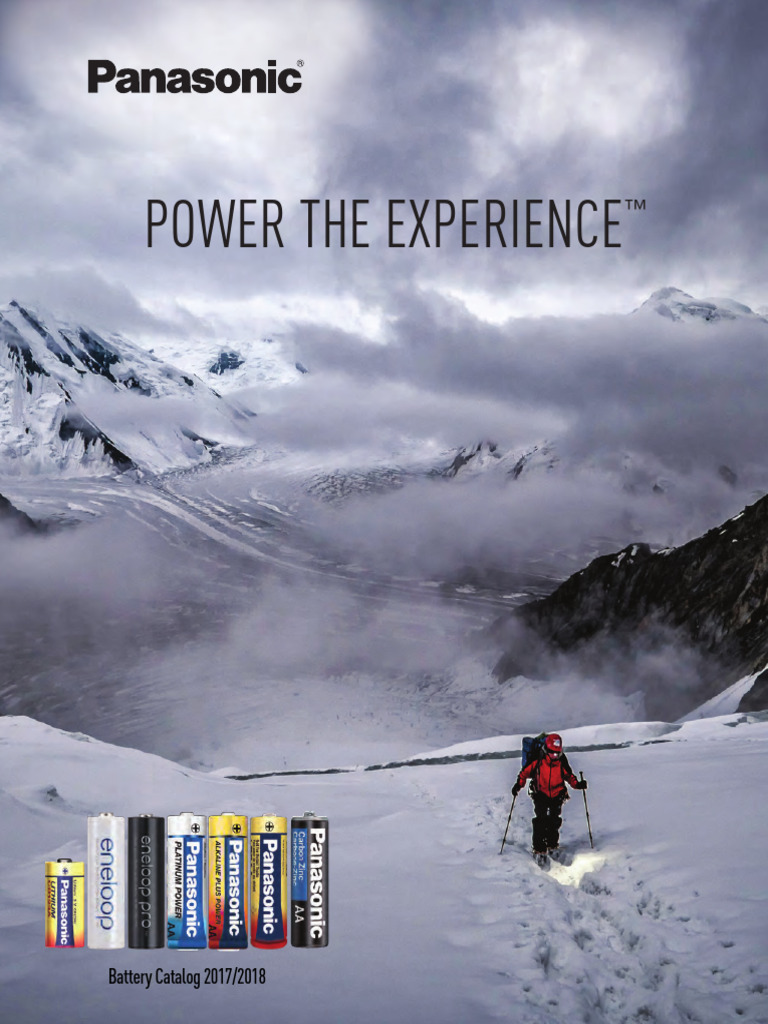 Battery Catalog 2018 | PDF