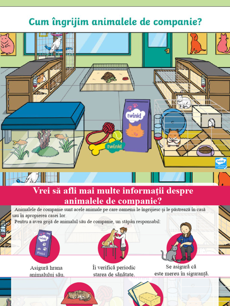 Cum Ingrijim Animalele de Companie Prezentare Powerpoint | PDF