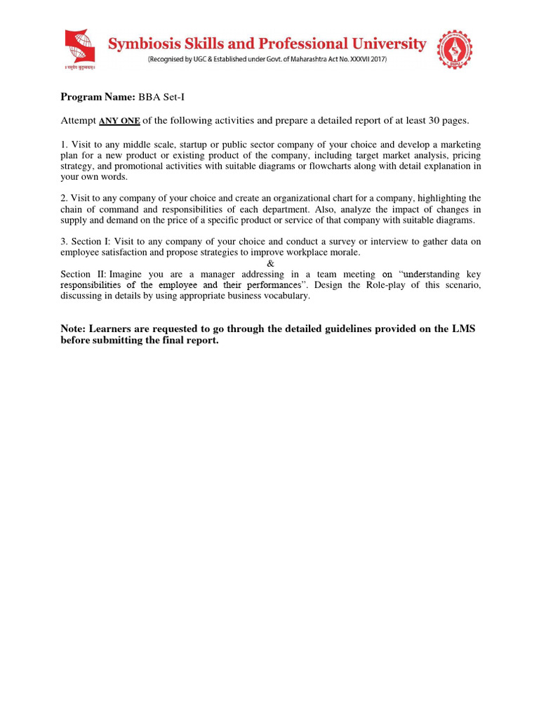 BBA - Activity - Set I | PDF