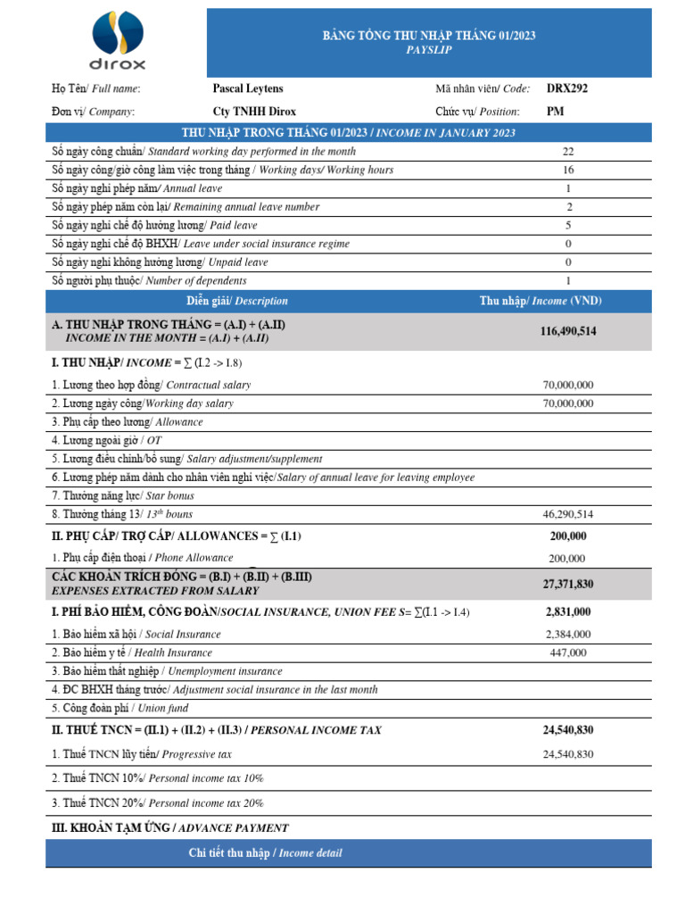 Pascal Leytens CV | PDF