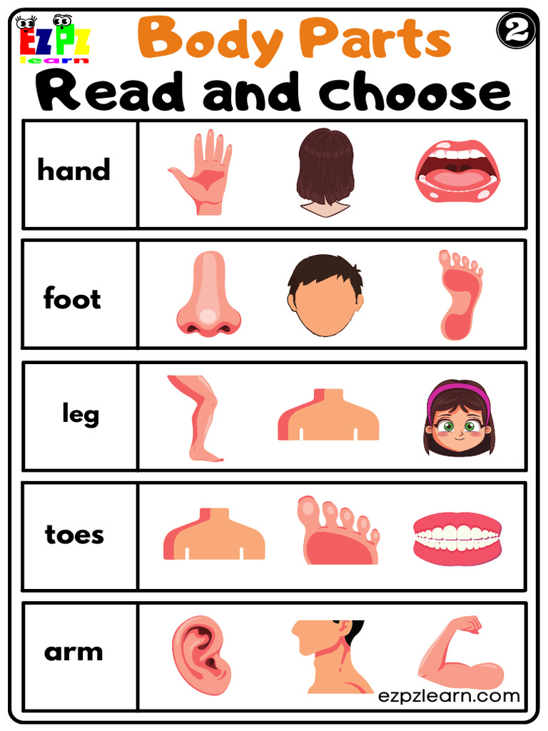 2 Body Parts Read and Choose | PDF