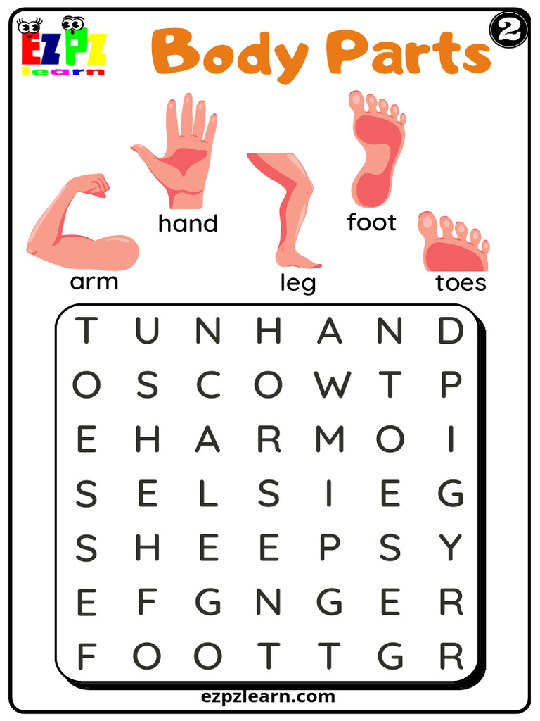 2 Body Parts Word Search | PDF