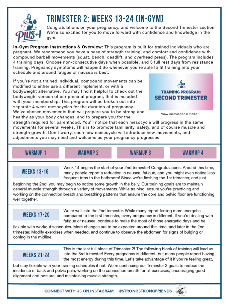 Trimester 2 Gym | PDF