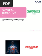 BTEC Sport Cardiovascular System Guide | PDF | Heart | Artery