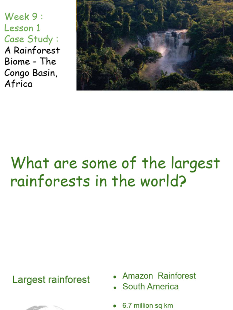 Congo Basin Rainforest Overview | PDF | Amazon Rainforest | Natural ...