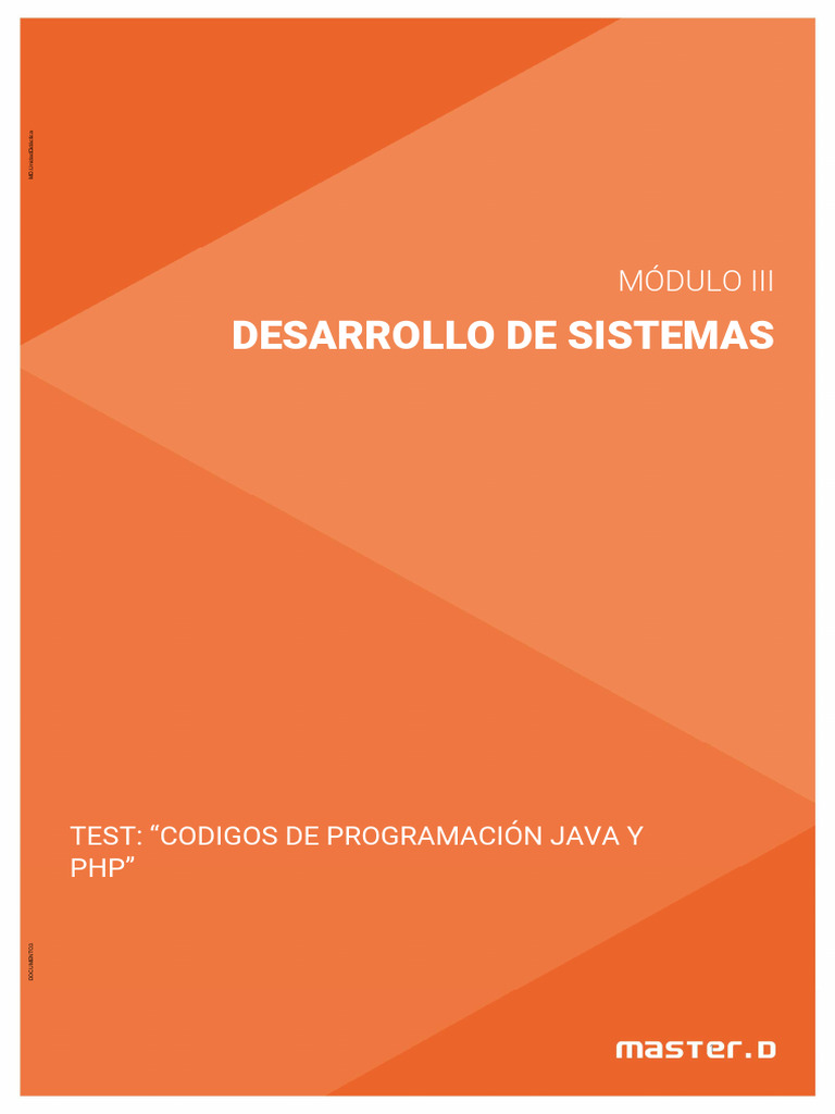 Desarrollo de Sistemas: Módulo Iii | PDF | Java (lenguaje de ...