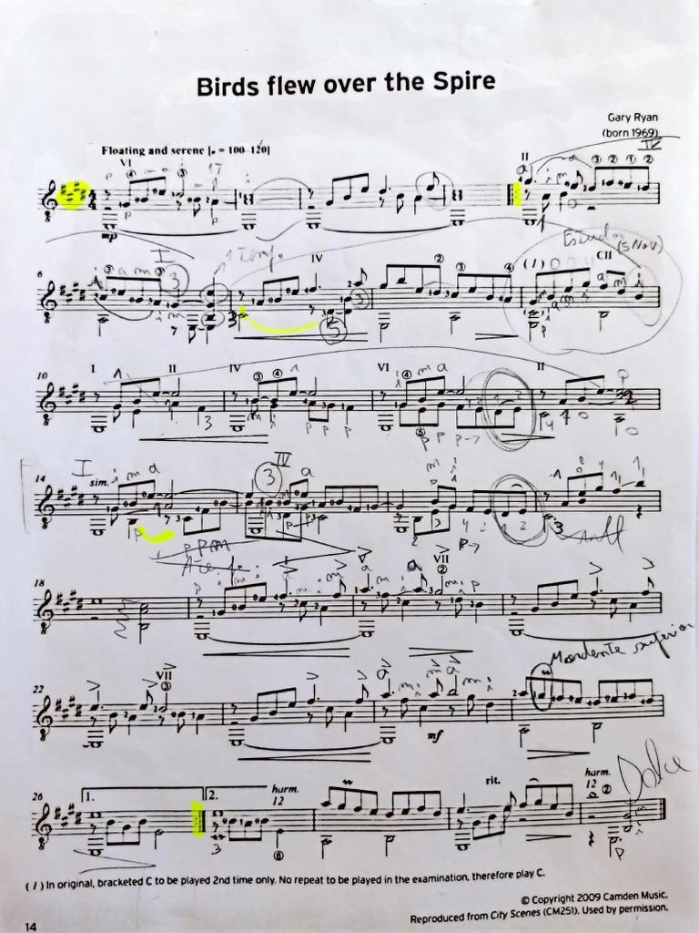 Bird Flew Over The Spire - Gary Ryan | PDF | Copyright Law | Freedom Of ...