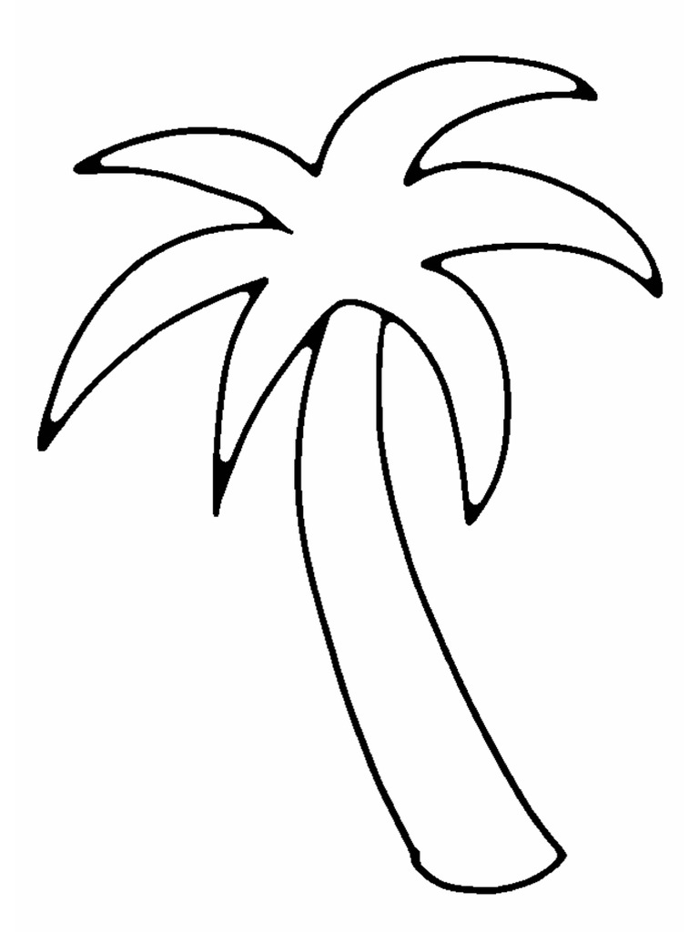 Palm Tree Drawing | PDF