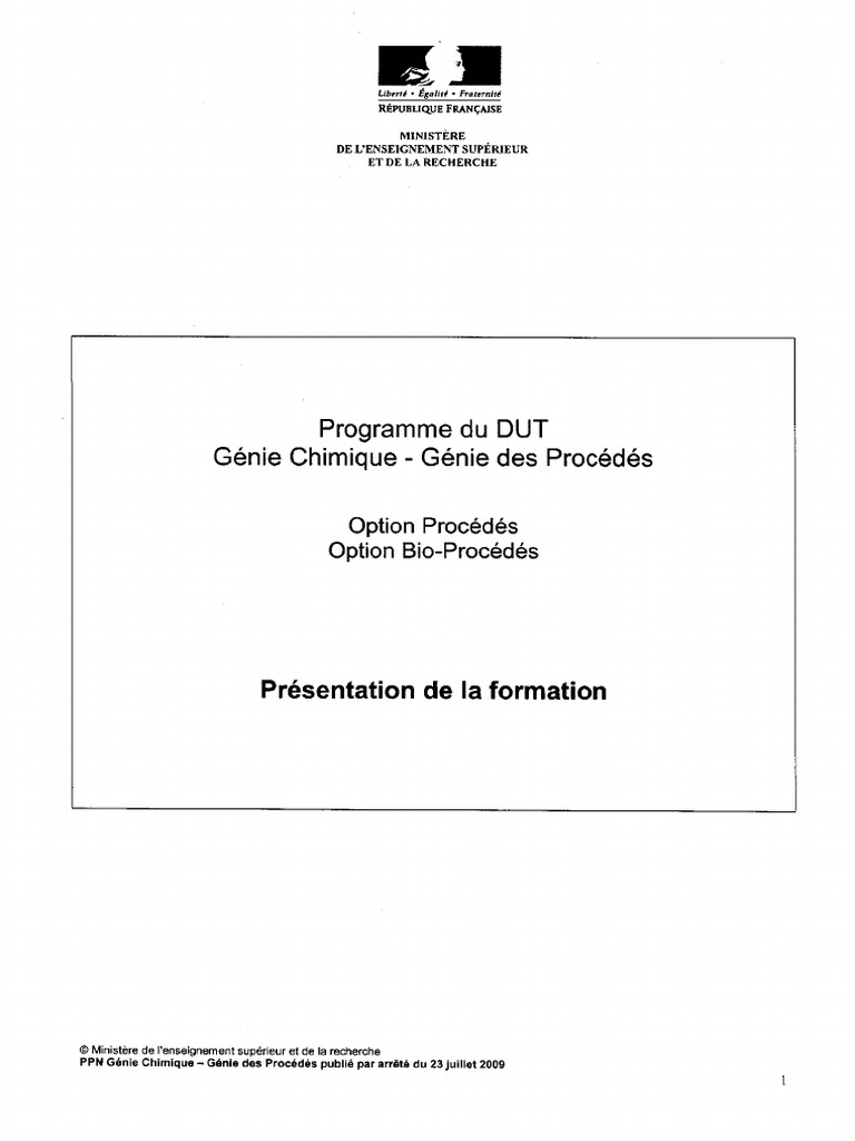 Geniechimgenieprocede 117442 | PDF