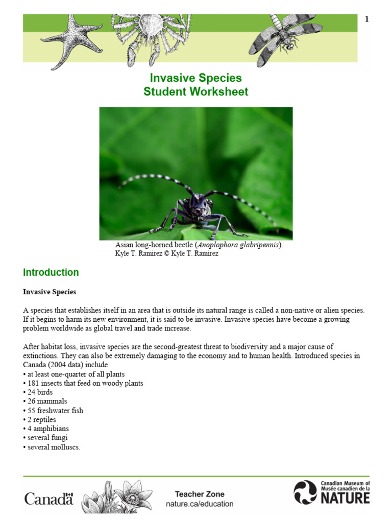 Invasive Species McKeaigg Sub Plan | PDF | Invasive Species ...