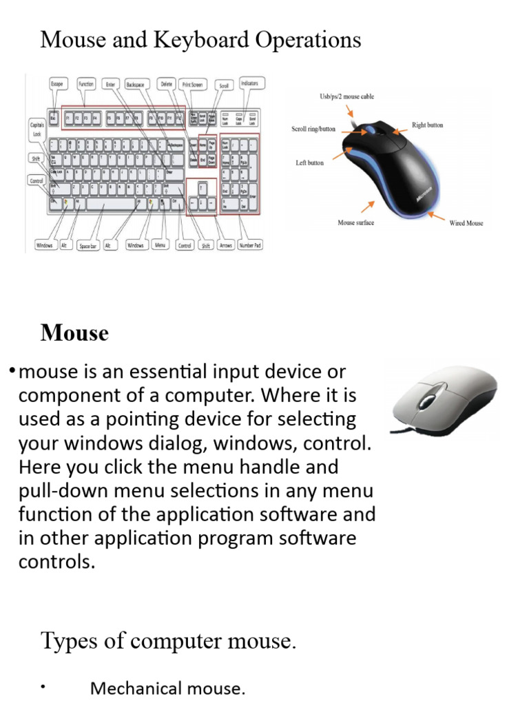 Mouse and Keyboard Operations | Download Free PDF | Computer Keyboard | Microsoft Windows