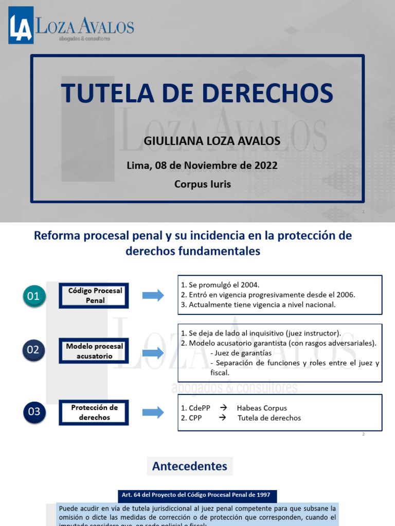 Tutela de Derechos en el Proceso Penal | PDF | Fiscal | Procedimiento ...