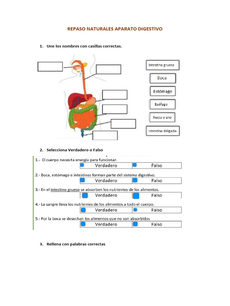 Repaso Naturales Aparato Digestivo | PDF