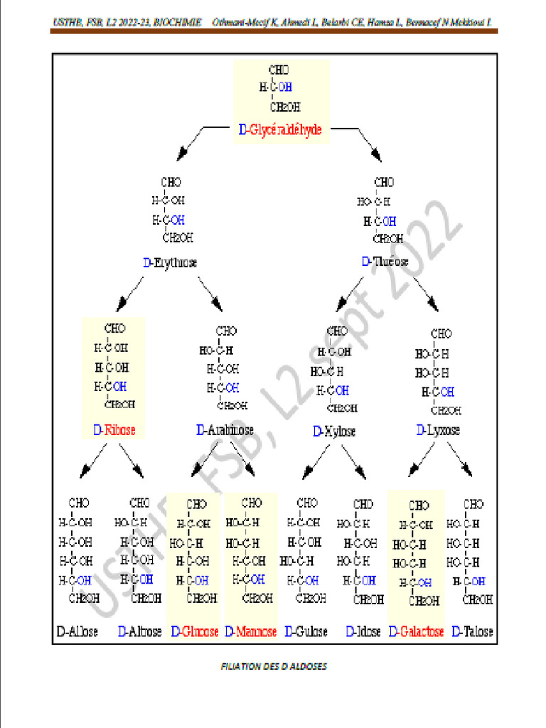Filiation Des Oses | PDF