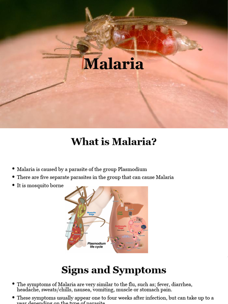 Malaria | PDF | Malaria | Animal Diseases