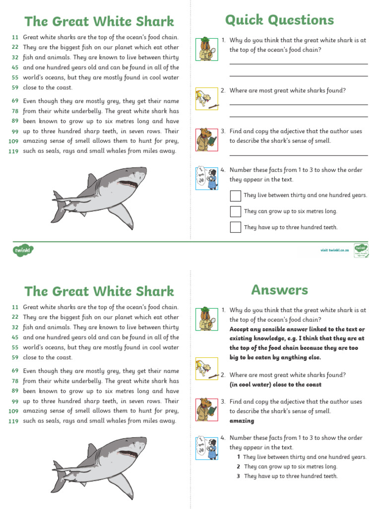 The Great White Shark Activity Card | PDF | Sharks | Great White Shark