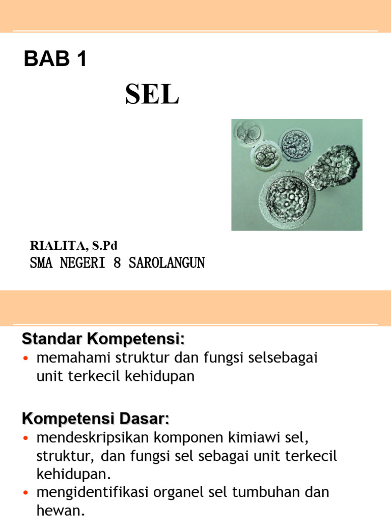 Bab 1 Sel | PDF | Sains & Matematika