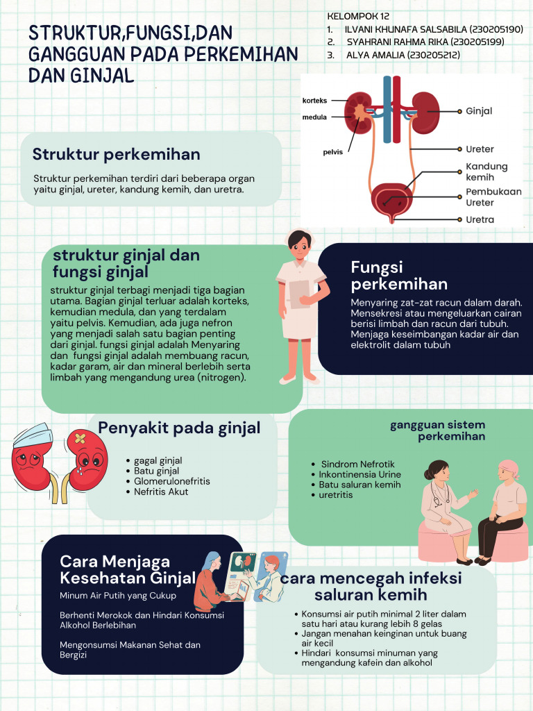 Poster Sistem Perkemihan | PDF