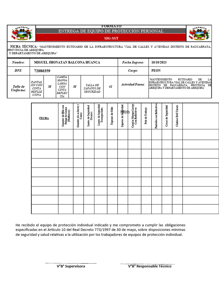 FORMATO | PDF | La seguridad | Equipo de protección personal