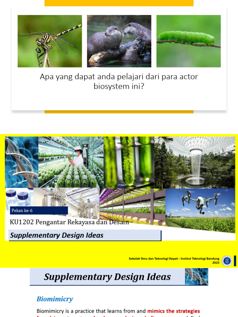 Topik-6-KU1202 PRD - Supplementary Design Ideas | PDF | Economy And The ...