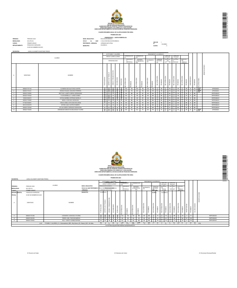 Formato Libro de Promocion y Promedios Finales | PDF