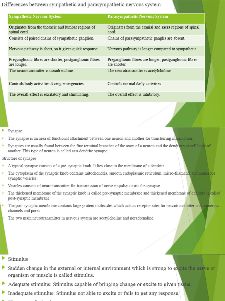 Autonomic Nervous System | PDF | Chemical Synapse | Action Potential