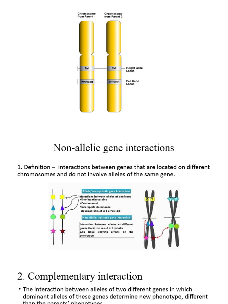 Non-Allelic Gene Interactions Explained | PDF