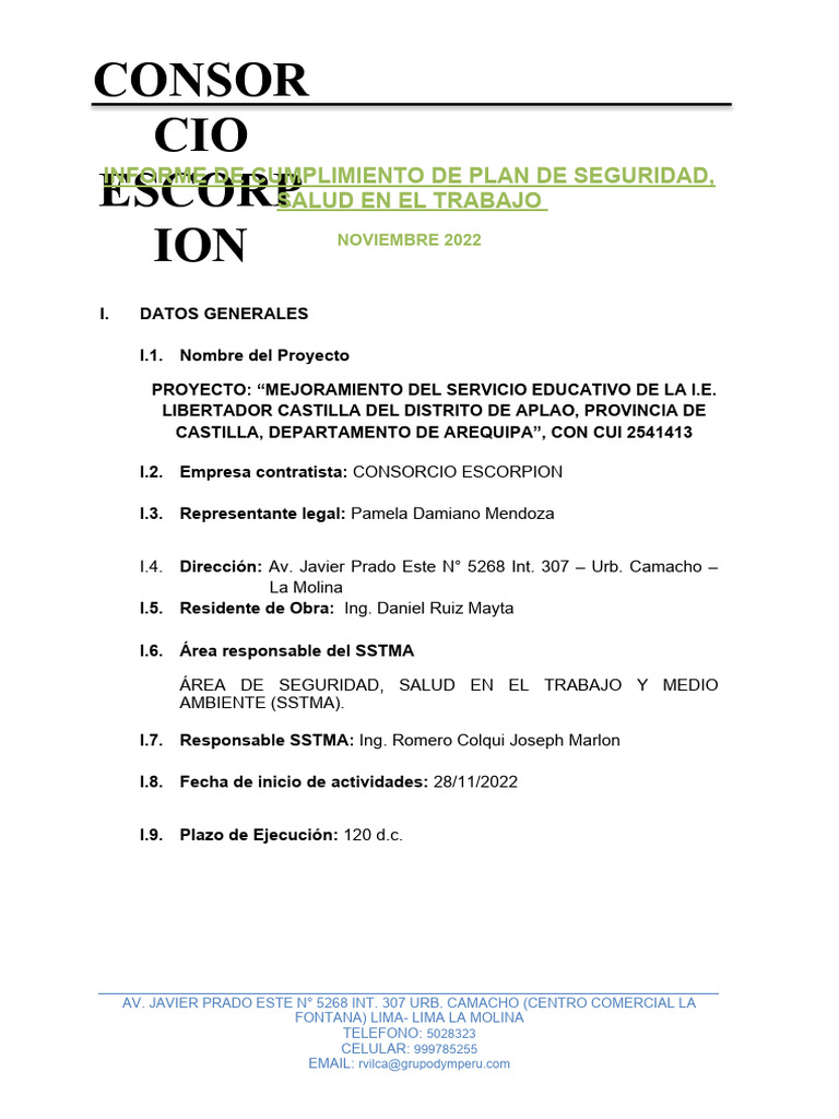 Informe Mensual de Seguridad y Salud en El Trabajo - Aplao | Descargar gratis PDF | Ciencias de ...