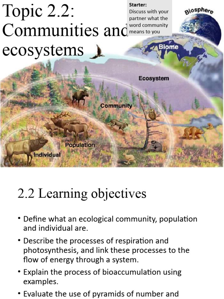 2.2 Communities and Ecosystems | PDF | Photosynthesis | Ecosystem