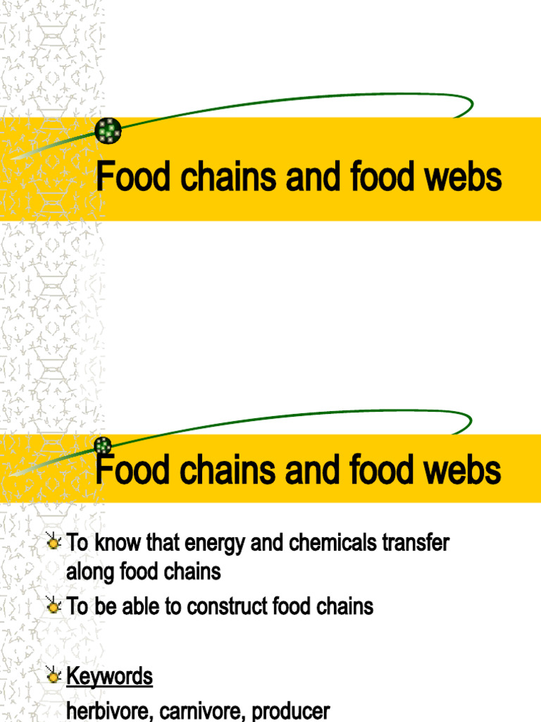 C3 Food Chains and Food Webs | PDF | Predation | Herbivore