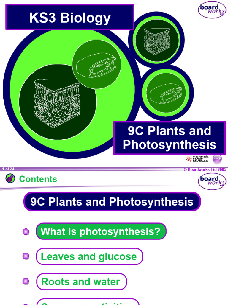 Ks3 Biology Lesson 1 Download Free Pdf Photosynthesis Chlorophyll