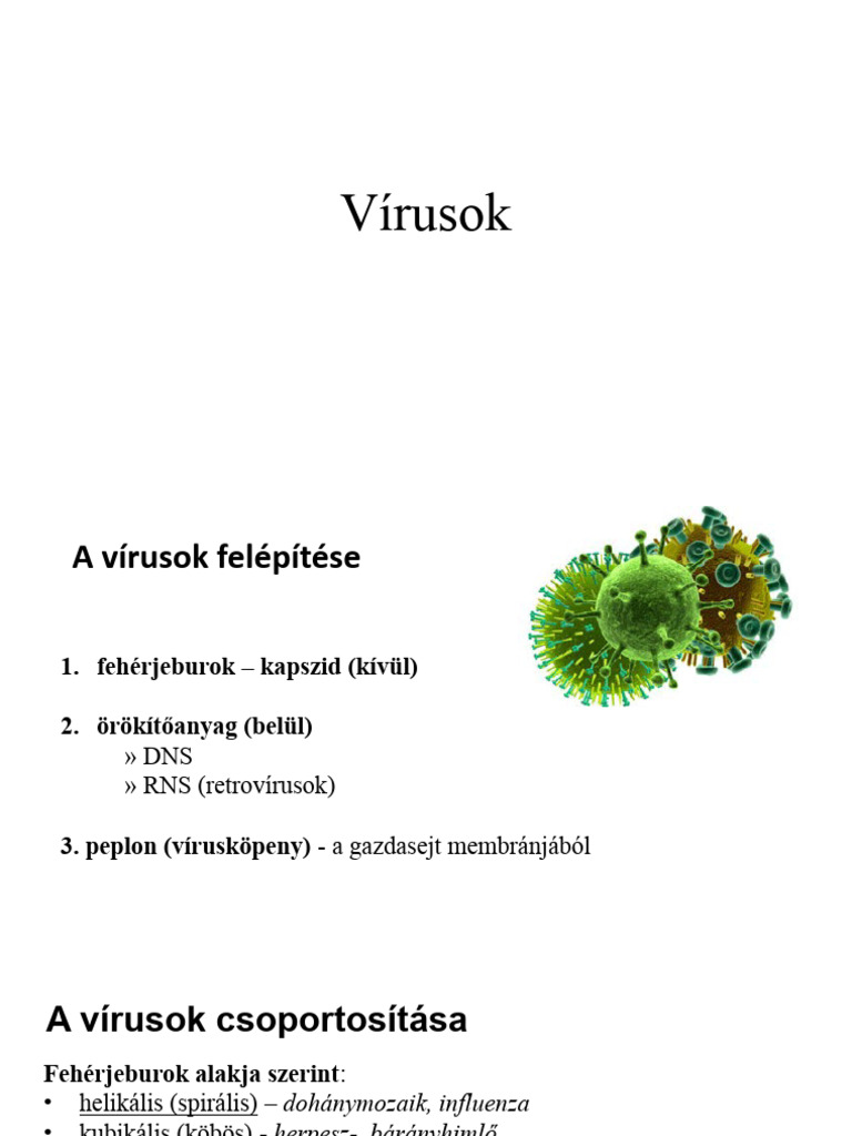 Vírusok | PDF
