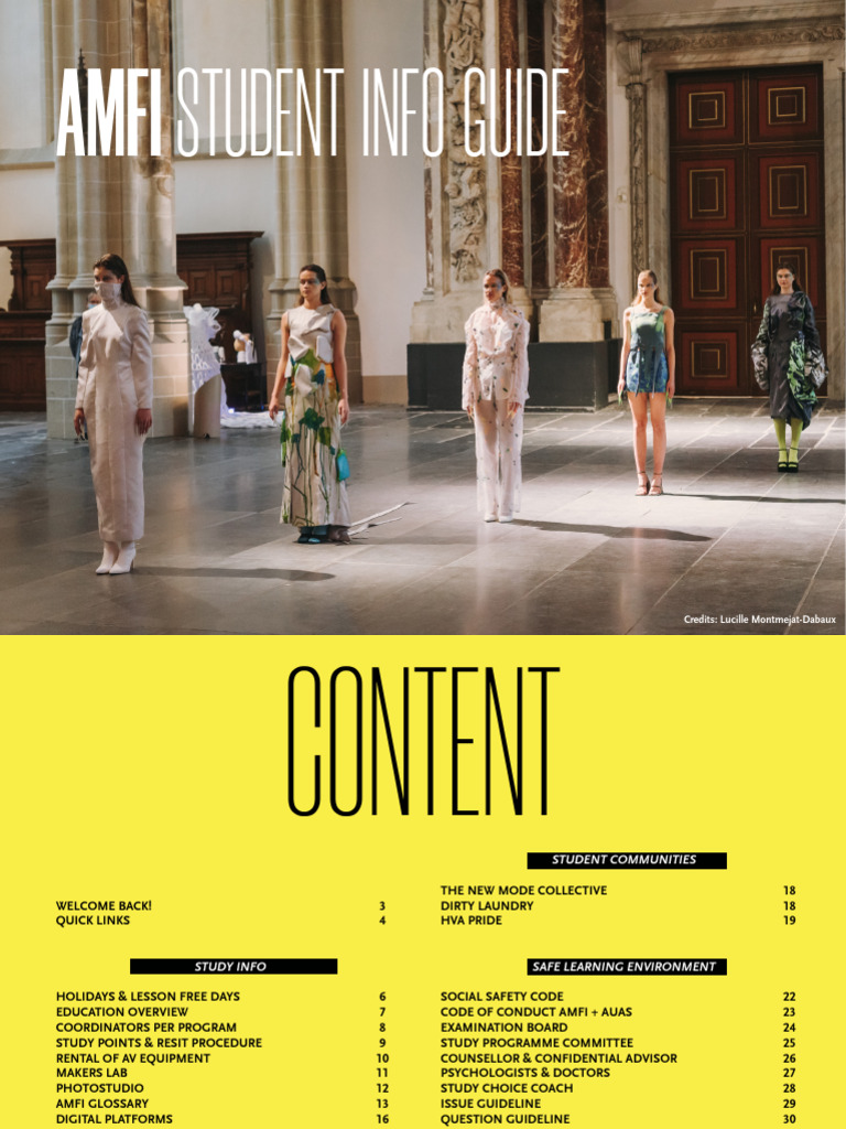 AMFI Student Guide | PDF | Educational Assessment | Mentorship