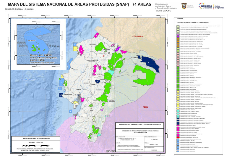 Snap 74 Areas-1 | PDF