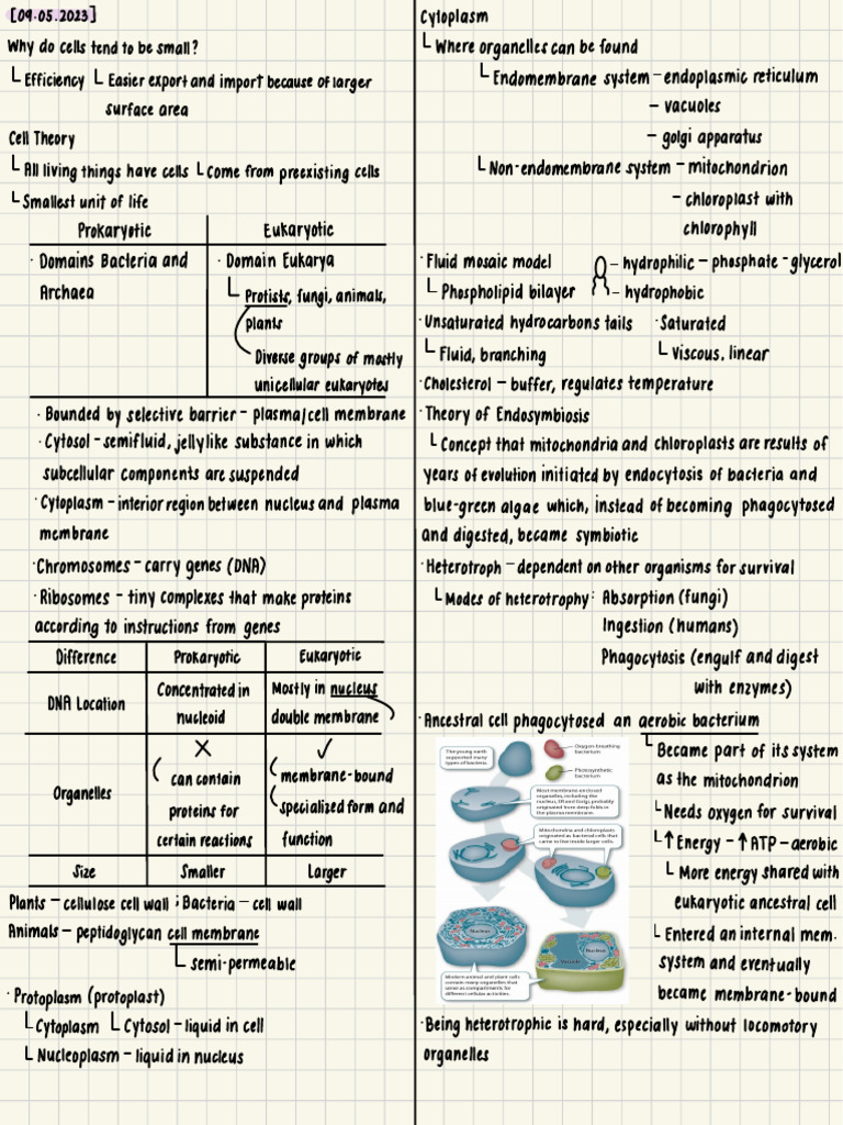 Unit 1 Lecture Notes | PDF