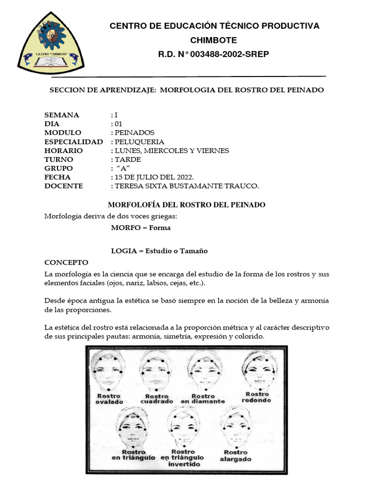 Morfología del Rostro en Peinados | PDF | Cara