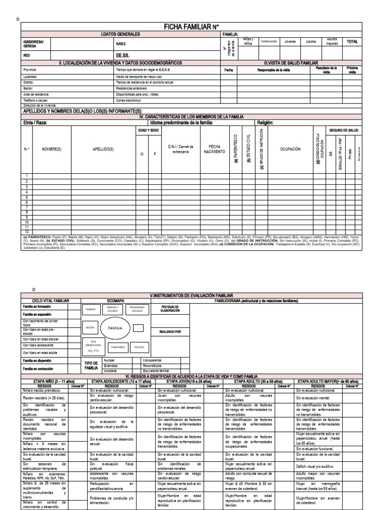 Formato Ficha Familiar 2023 | PDF | Adultos | Agua