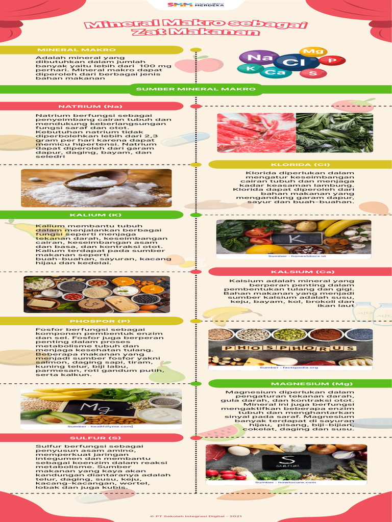 Zat Mikronutrien (Mineral Dan Vitamin) | PDF