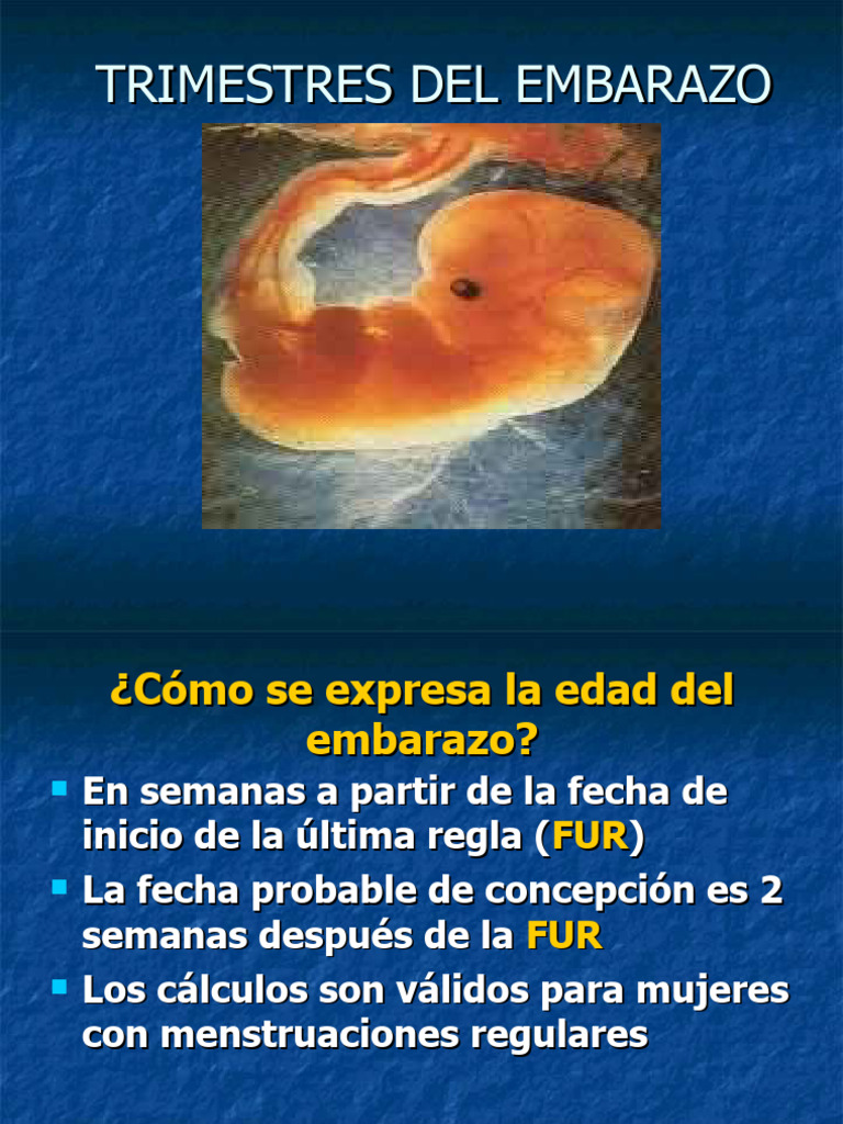 Trimestres Del Embarazo | Descargar gratis PDF | El embarazo | Medicina CLINICA