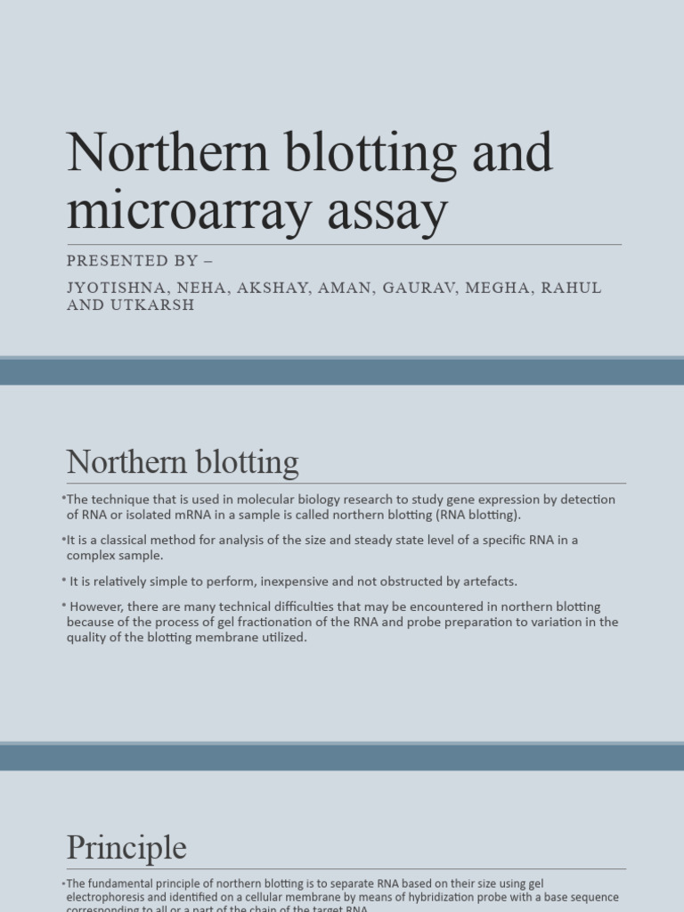 Northern Blotting and Microarray Assay | PDF | Dna Microarray | Northern Blot