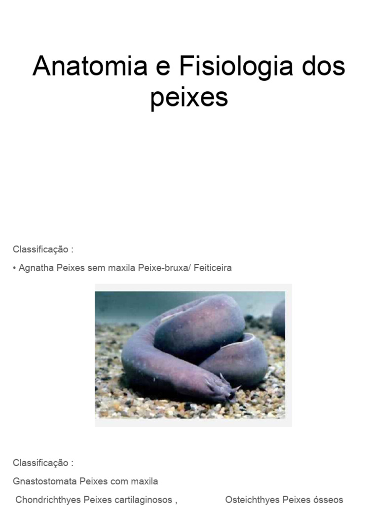 Anatomia e Fisiologia Dos Peixes | PDF | Peixes | Corpo humano